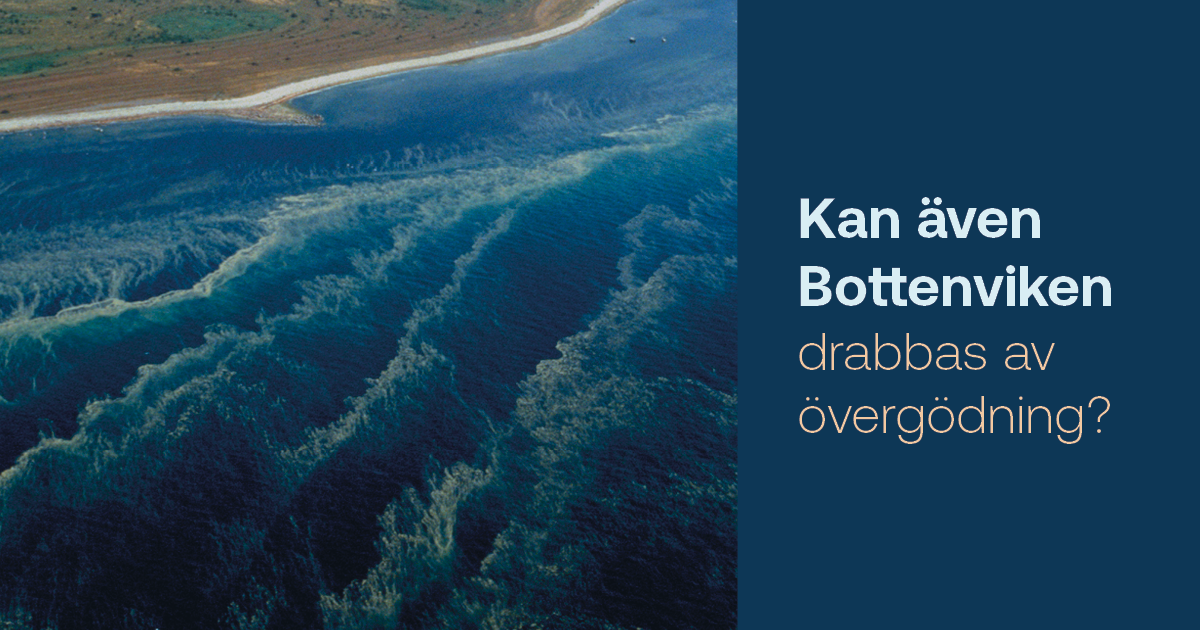 Kan även Bottenviken drabbas av övergödning? - BalticWaters