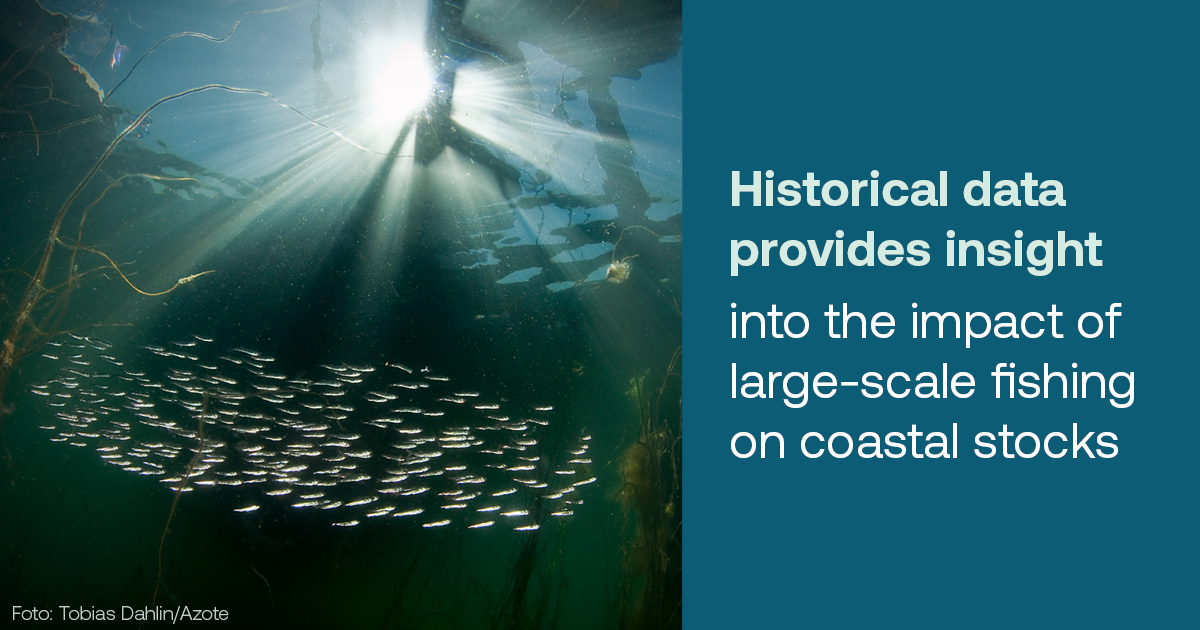 Historical data provides insight into the impact of large-scale fishing ...